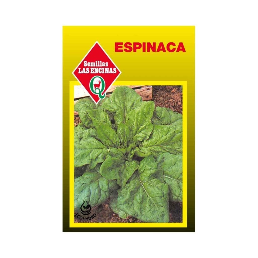 Semillas de Espinaca - EcoHydro